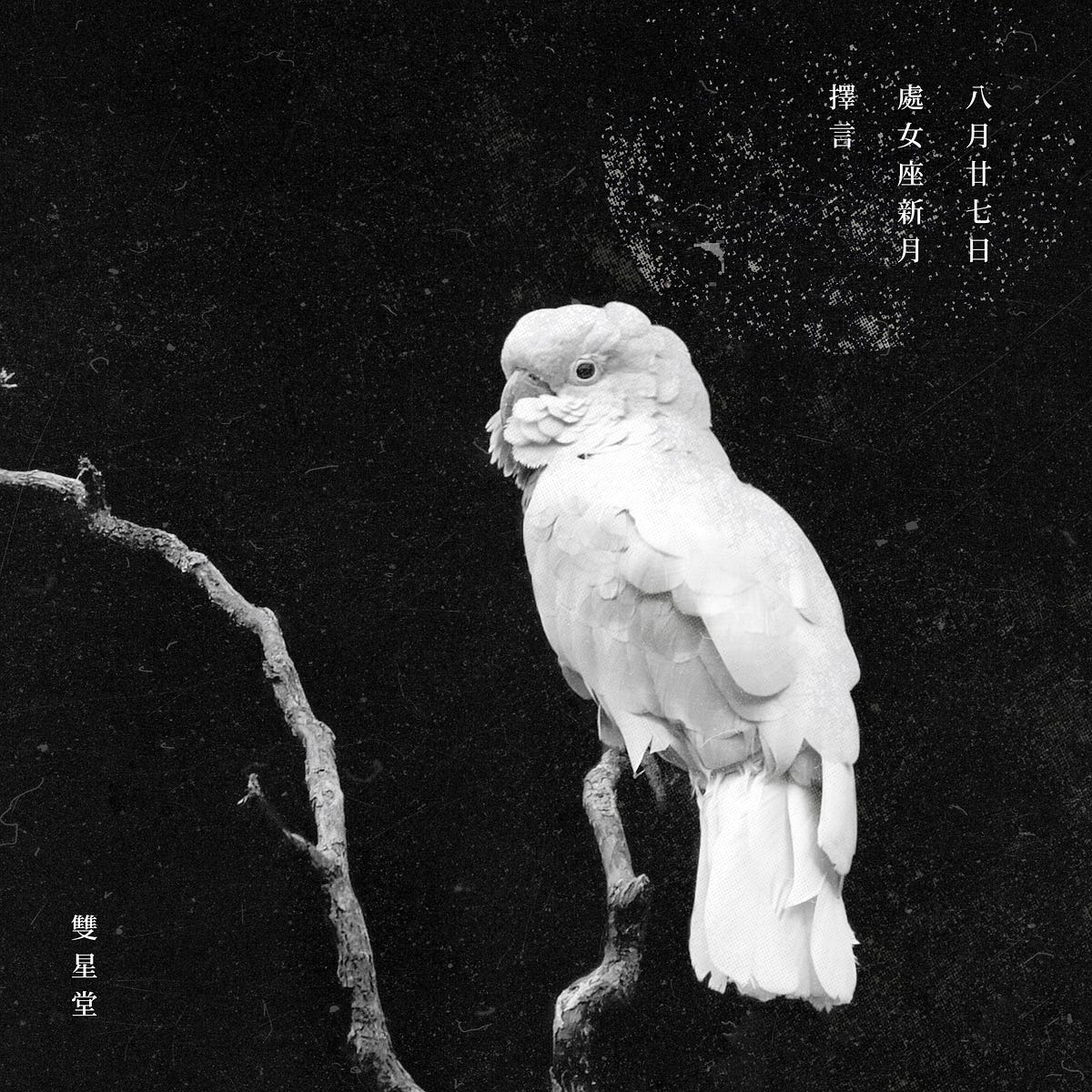 【處女座新月】擇言 - Eli Poon - Medium