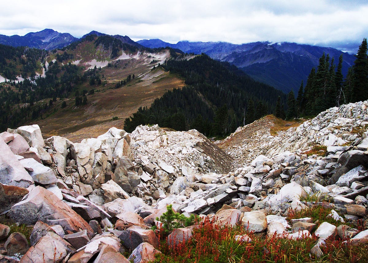 State gains new protections through public land act | by WA Governor’s ...