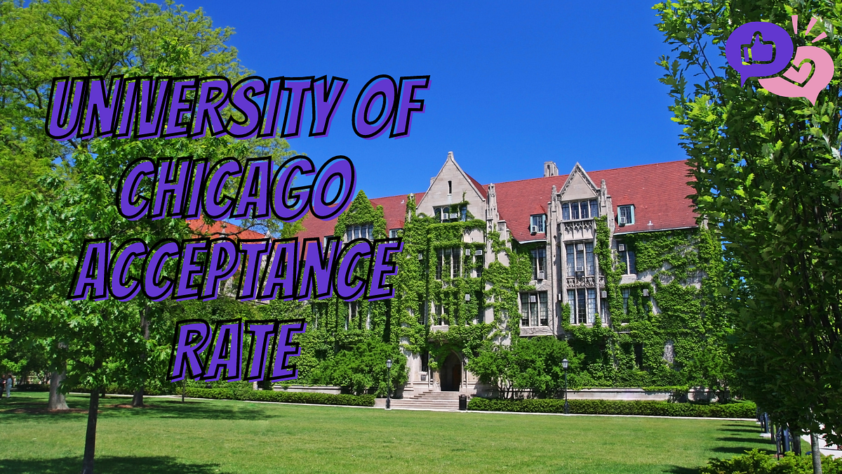 University of Chicago Acceptance Rate | by Azednews | Feb, 2024 | Medium