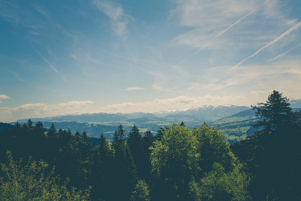Digesting: David Foster Wallace’s “Everything Is Green” | by Digesting ...