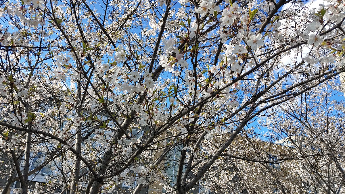 The Creatures of Venom and Poison | by Ilija Begic | Medium