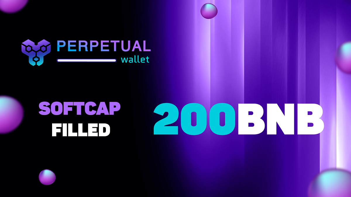 200 bnb - Perpetual Wallet - Medium