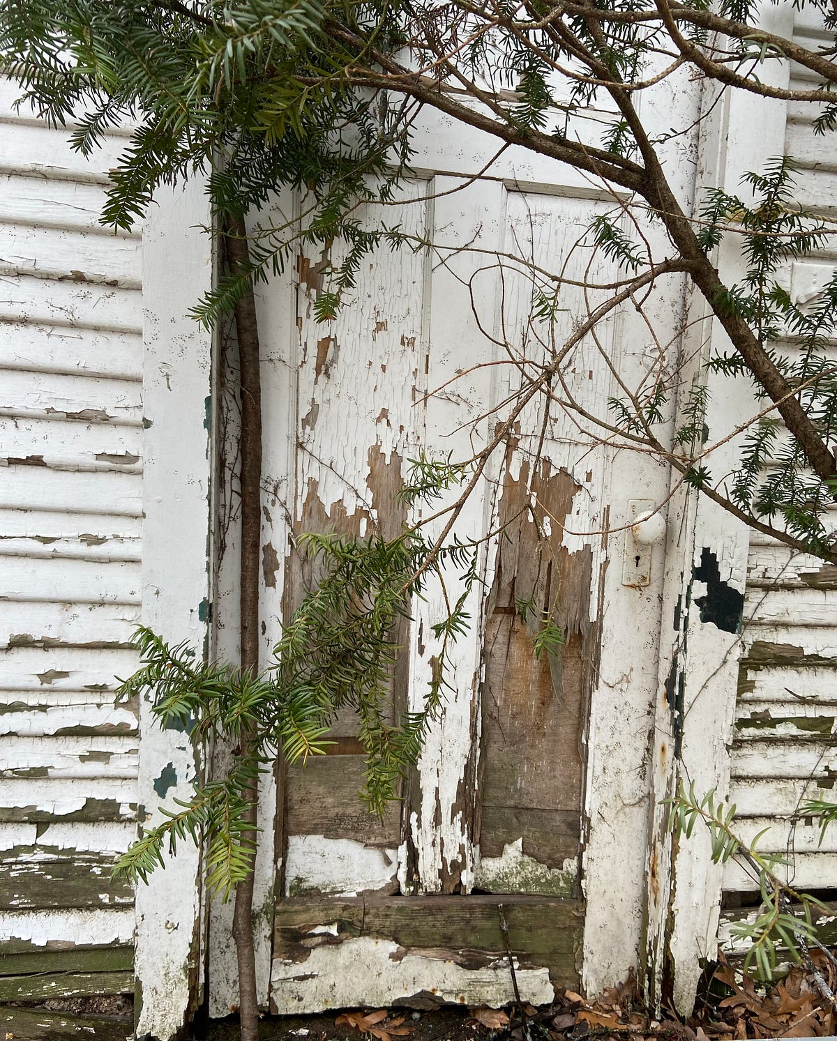 Weathered wood There’s something about weathered doors, the way the ...
