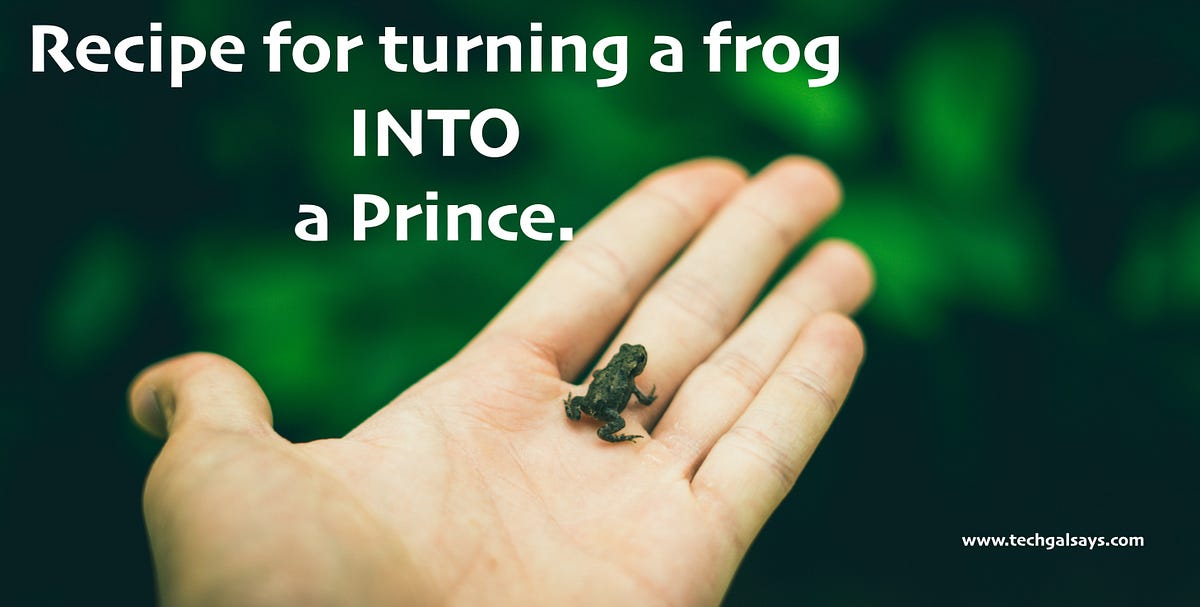 The recipe for turning frogs into Princes | by Akanksha Singh | Medium