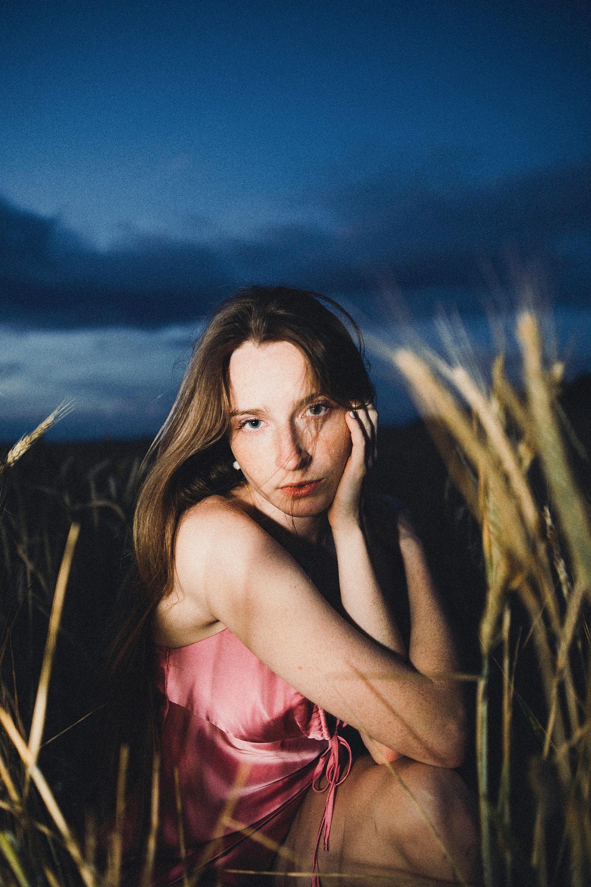 The Milkweed and Me. A poem of seed, floss, and gloss | by Amanda Weir ...