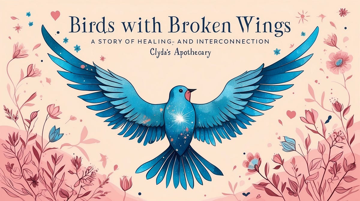 Birds With Broken Wings: A Story of Healing and Interconnection | by ...