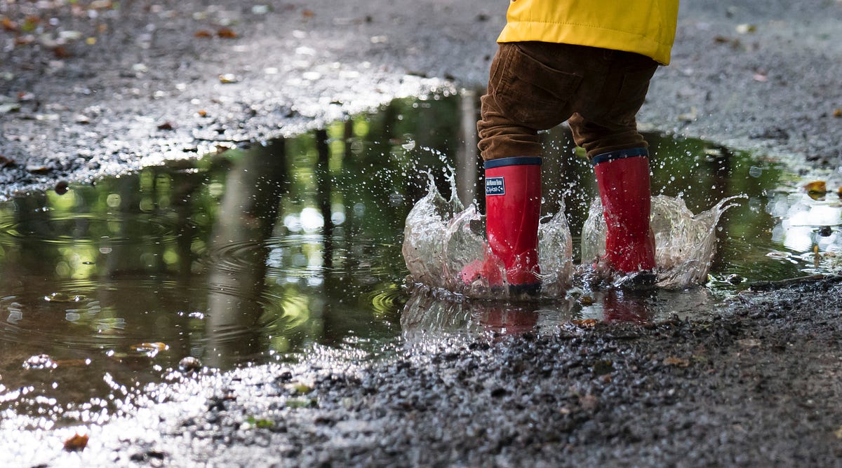 Why I Walk in Puddles. In typical Spring fashion the morning… | by ...