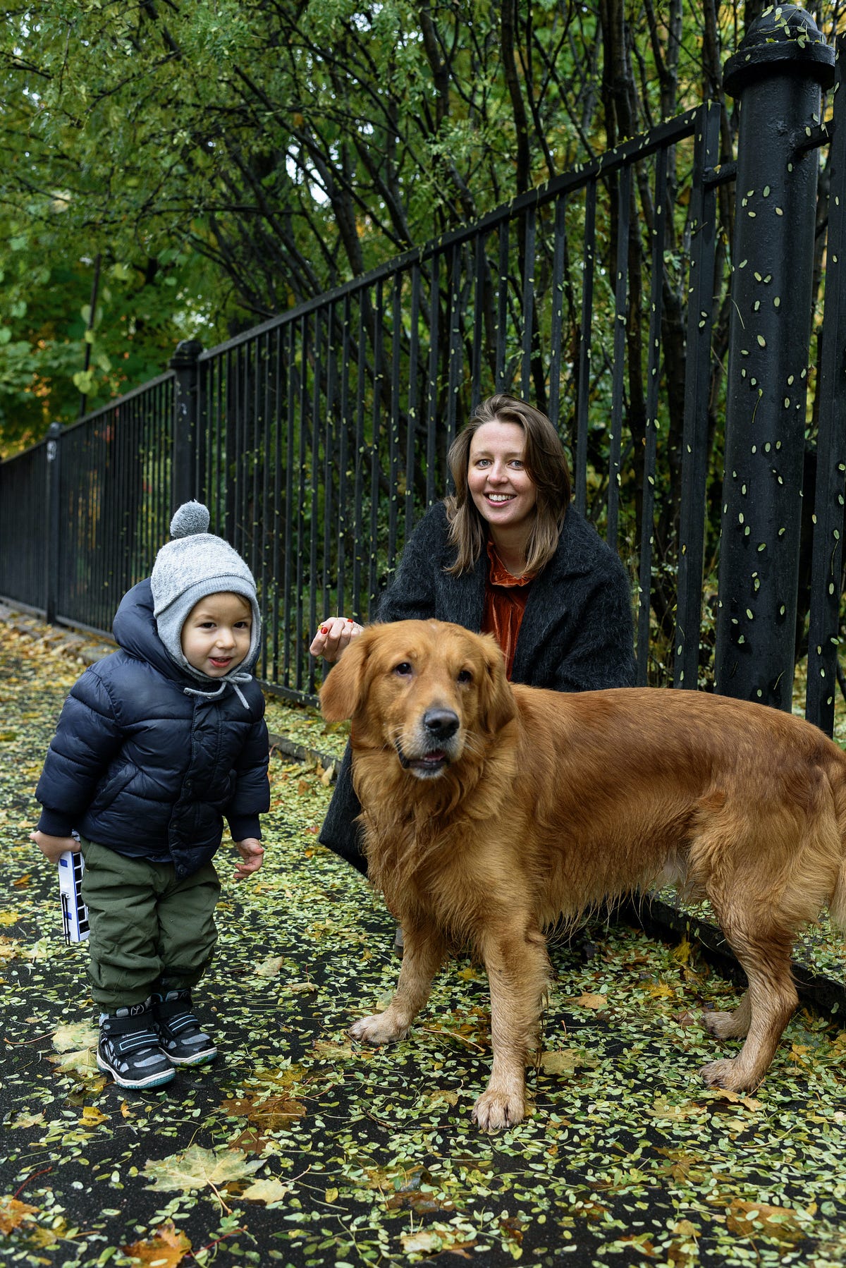 5 best family dog breeds that can bring a positive change in your life ...
