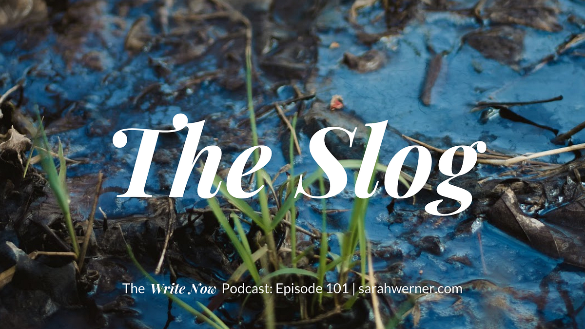 The Slog — WNP 101. What happens when we get trapped in the… | by Sarah ...