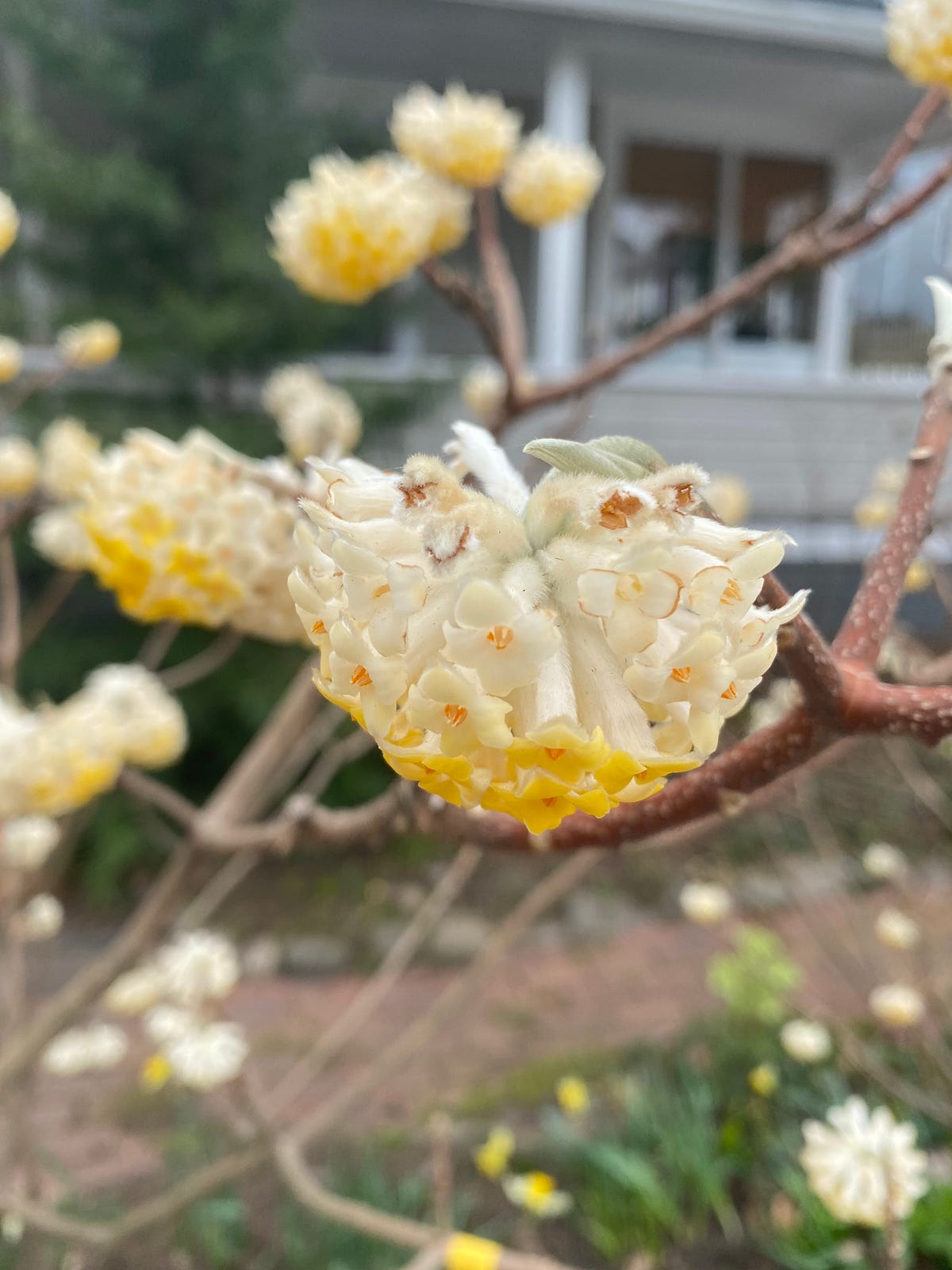 Love Walking Around. A Poem | by RBGraham | Apr, 2023 | Medium