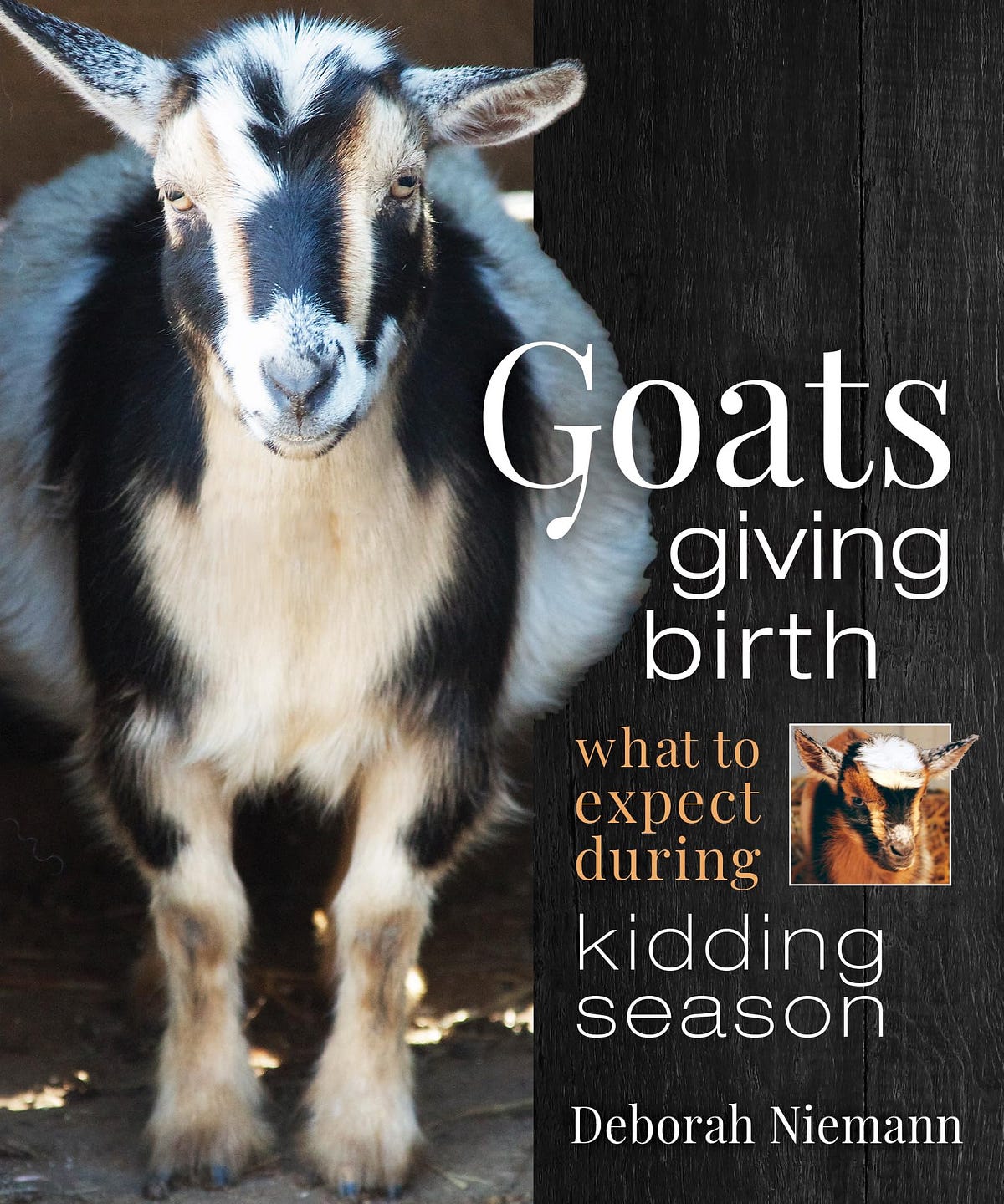 [DOWNLOAD] Goats Giving Birth: What to Expect during Kidding Season ...