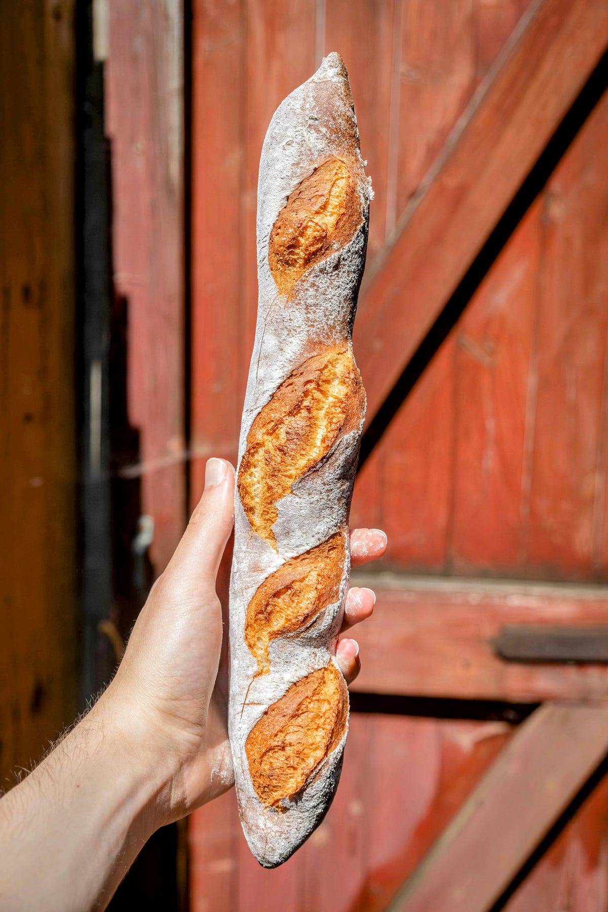 Wait…Where’s the Bread?. A tale of daily woe on the other side… | by ...