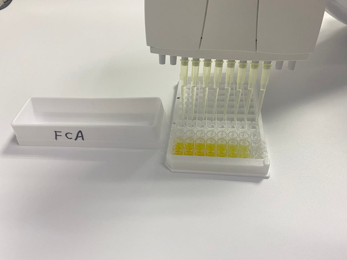 Human MT(Melatonin) ELISA Kit. Human MT(Melatonin) ELISA Kit Basic ...