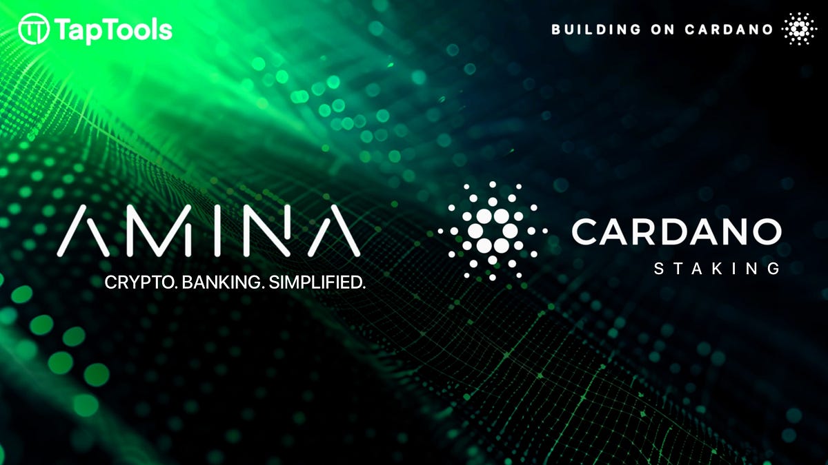Amina Bank Launches Cardano Staking | by Tap In With TapTools | Tap In ...