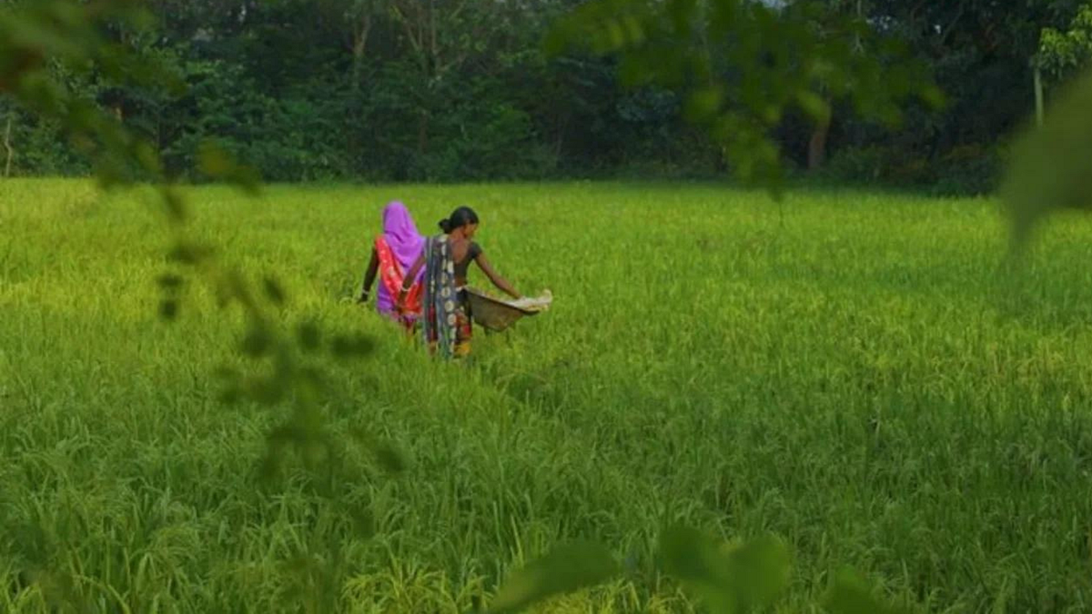 Bihar To Launch Incentives Programme To Promote Organic Farming | by ...