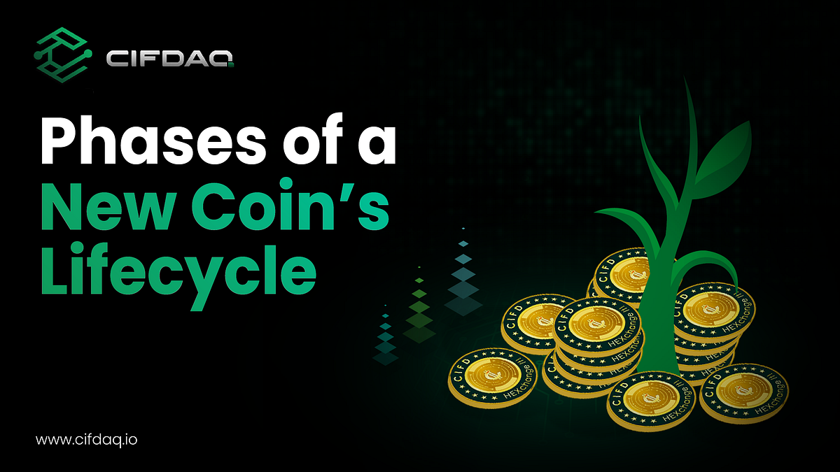 Initial Buzz to Steady Growth: Phases of a New Coin’s Lifecycle | Medium