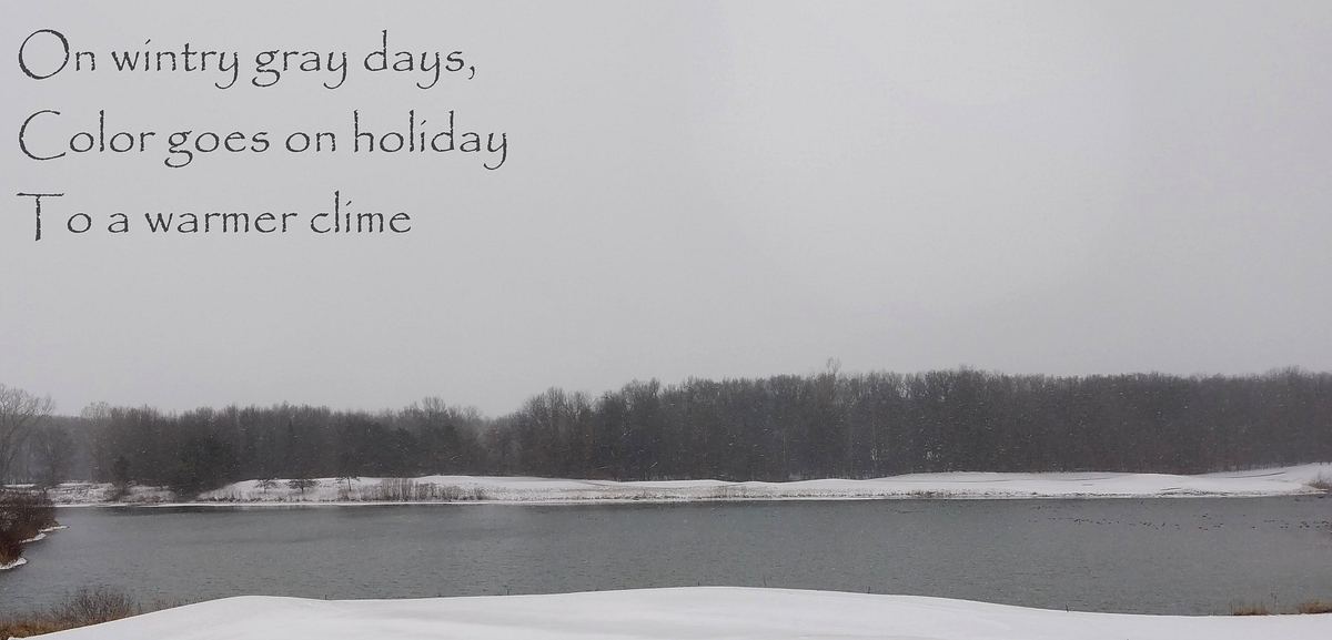 Haiku: Life in Grayscale. Winter can do that to you | by K R Smith | Medium