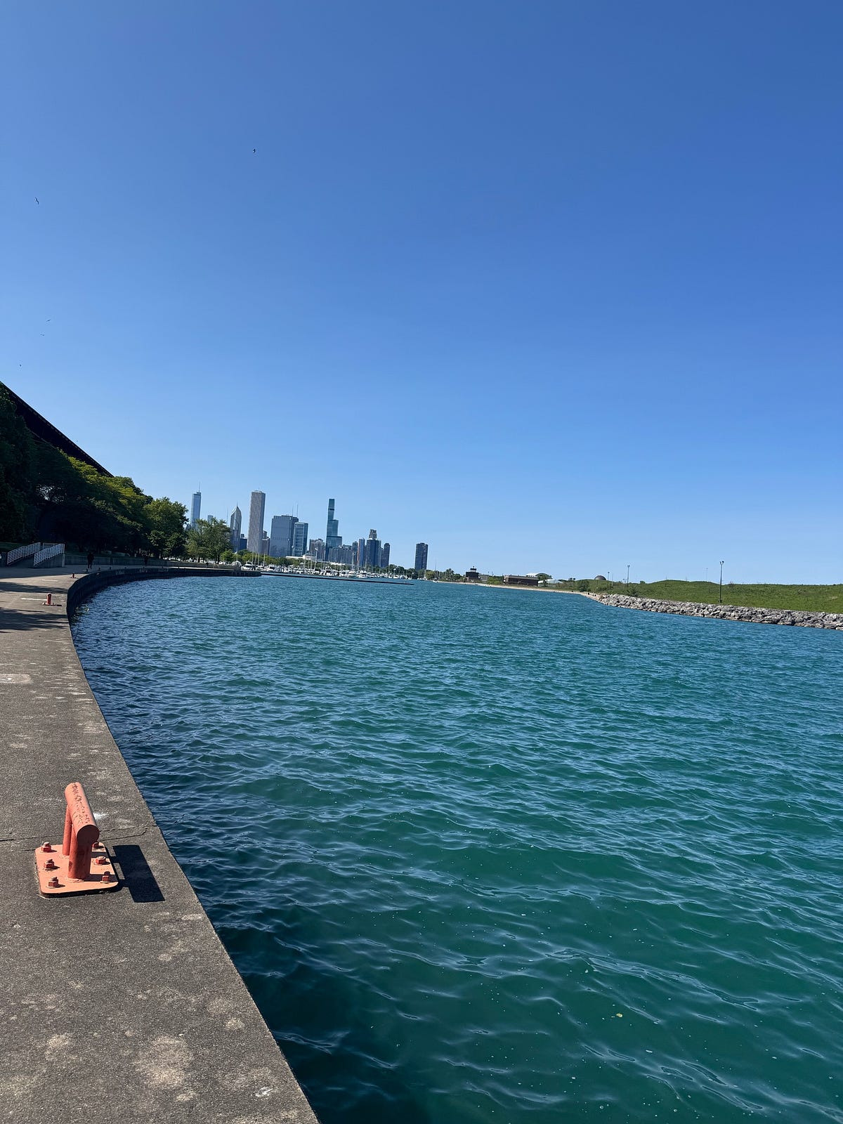My First Clinical Conference. ASCO 2025, perspective from a newbie | by ...