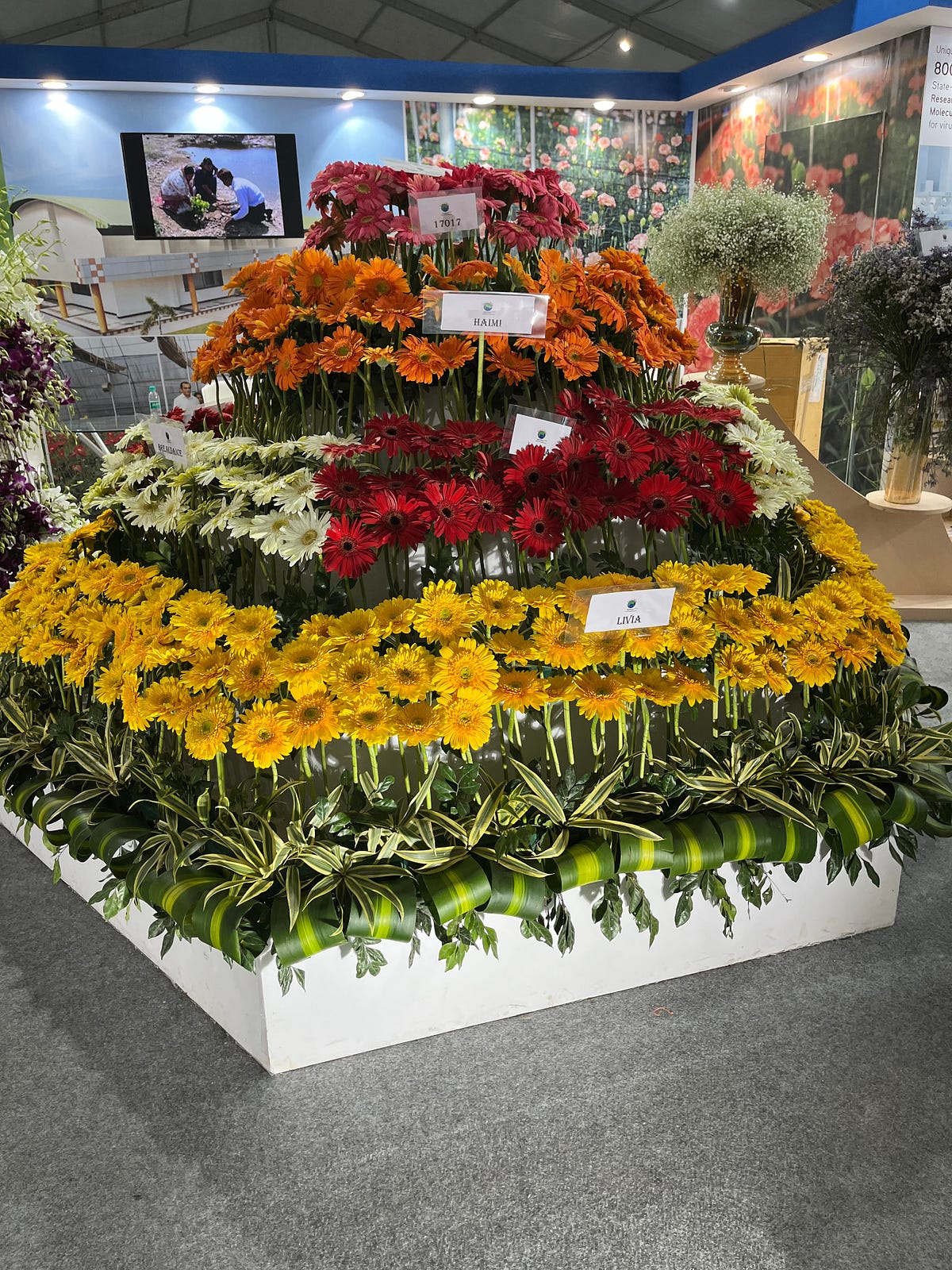 In Joy And In Sadness, Flowers Are Our Friends | by Dr. Preeti Singh ...
