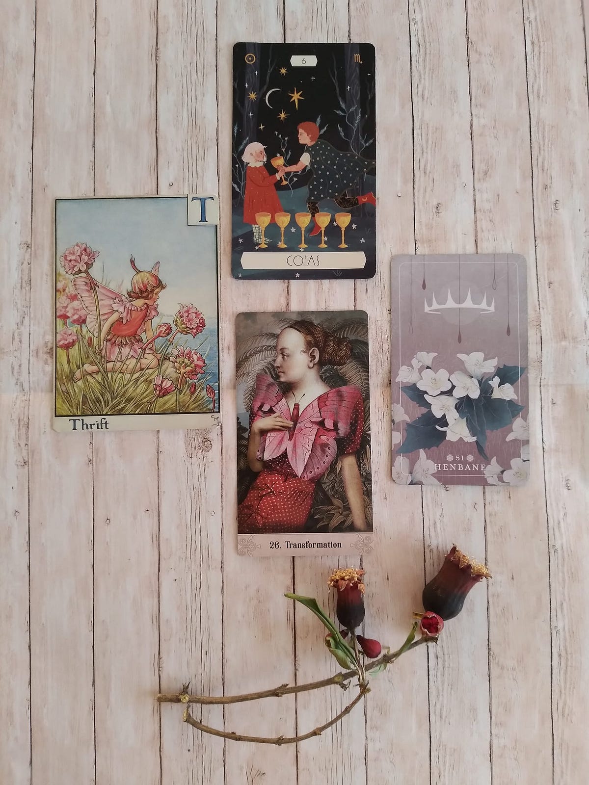 Lectura abierta de Tarot y Oráculo para la Semana. 6 de CopasThrift{Clavelina de Mar}+Carta ...