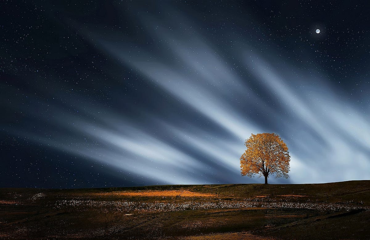 I’m in My Calm Era. I let things be. | by Phaguni Shrivastava | Good ...