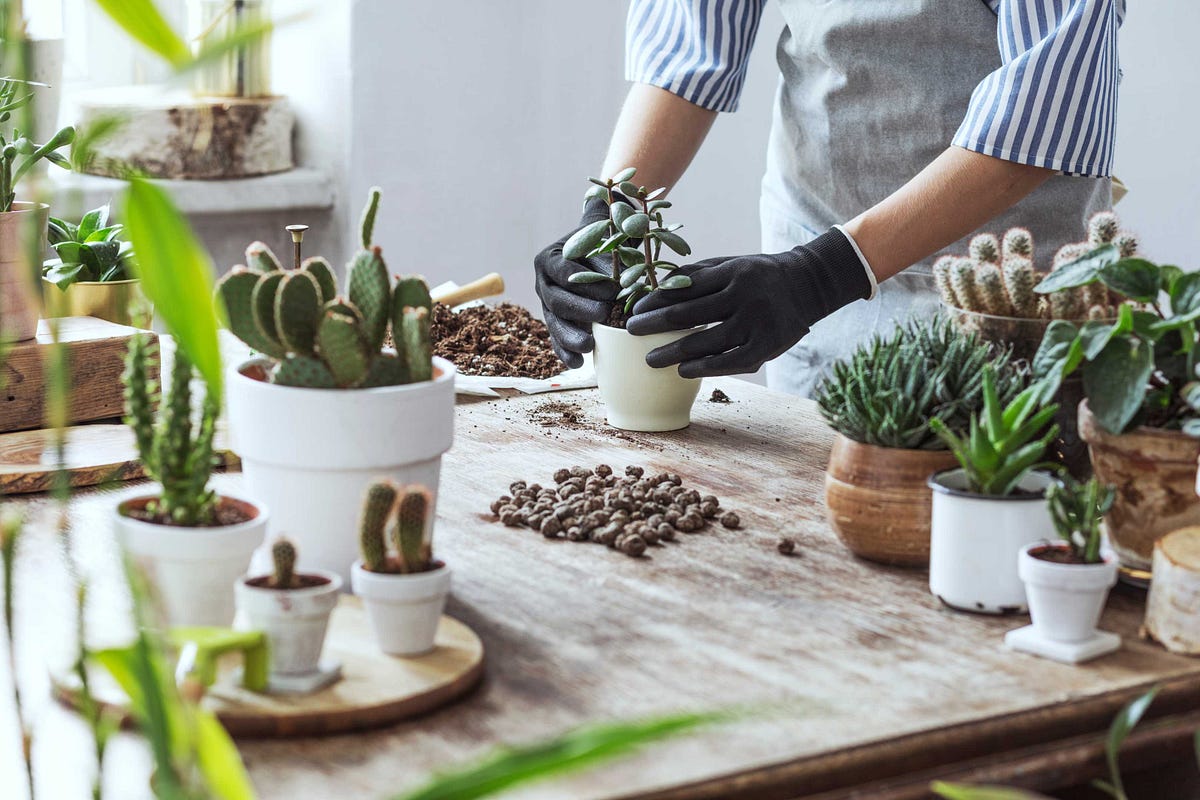 Bien choisir son pot !. Les différents types de pots de fleurs | by ...