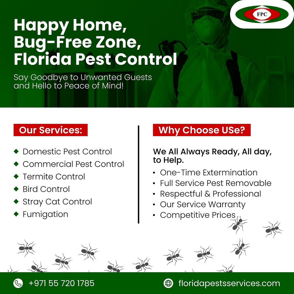 Florida Pests Services: Keeping Your Home Pest-Free in the UAE | by ...