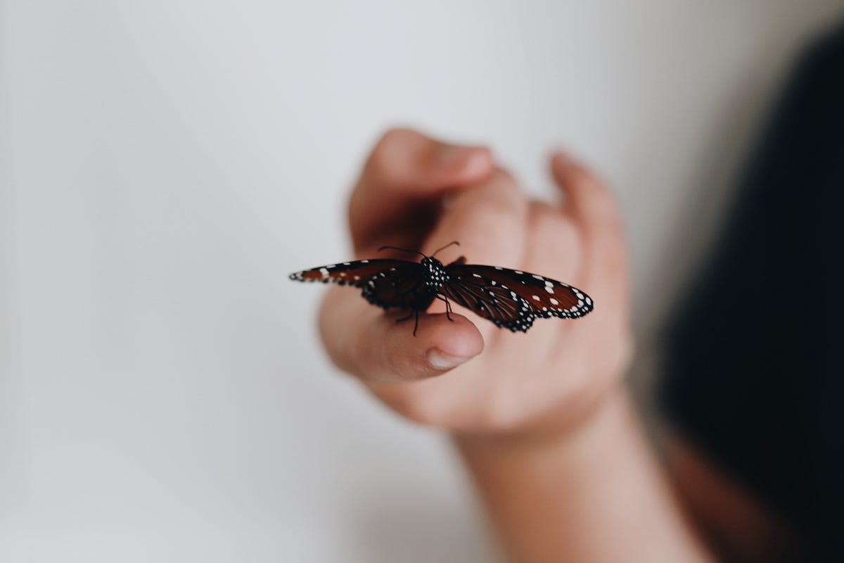 Beginners in Tech: Embracing the Growth Mindset | by Camilla Rees | Medium
