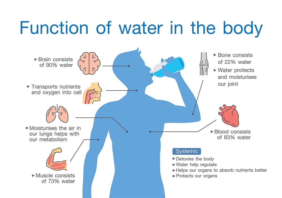 Hydration and an Energized Life. Our body has a really awesome ...