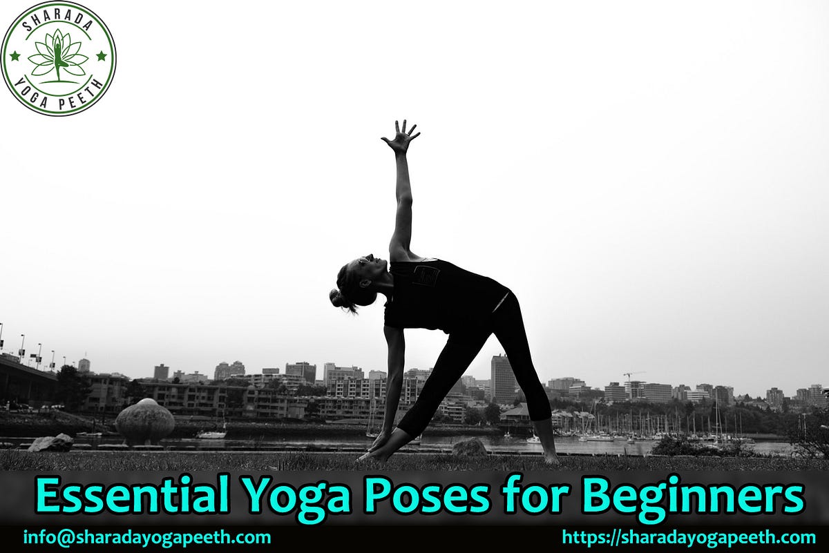 Essential Yoga Poses for Beginner | by Sharada Yoga | Medium