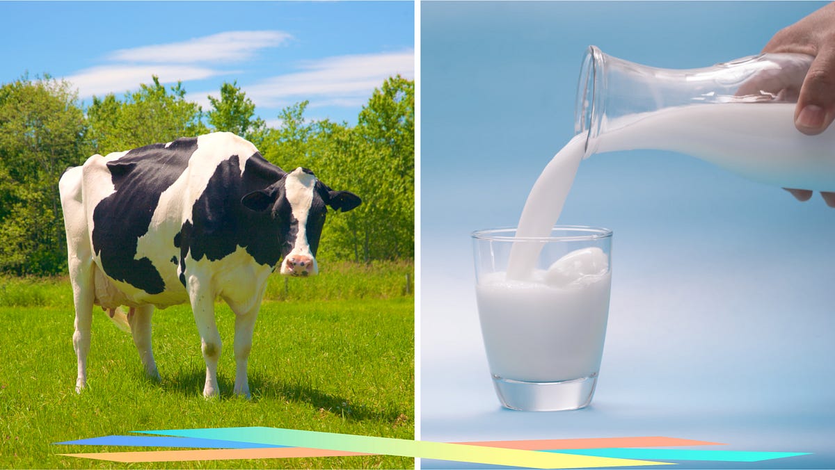 Milk: More Than Just a Drink. "Milk: Simple, Nourishing, and Always ...