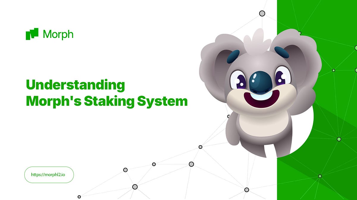 Understanding Morph’s Staking System | by Immanuel | Sep, 2024 | Medium