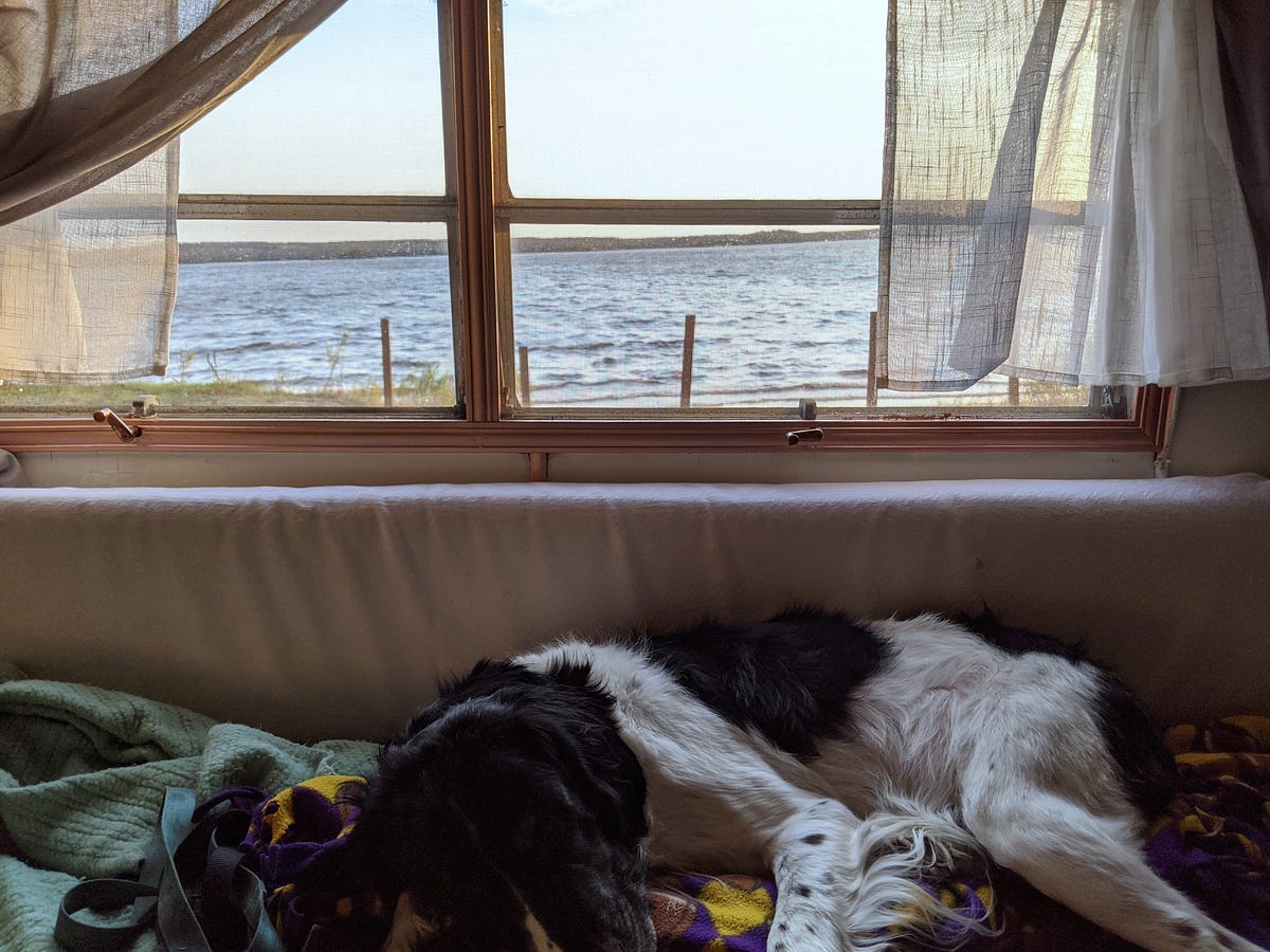 Camping Alone With Sleeping Dogs and Cassette Tape Memories | by ...
