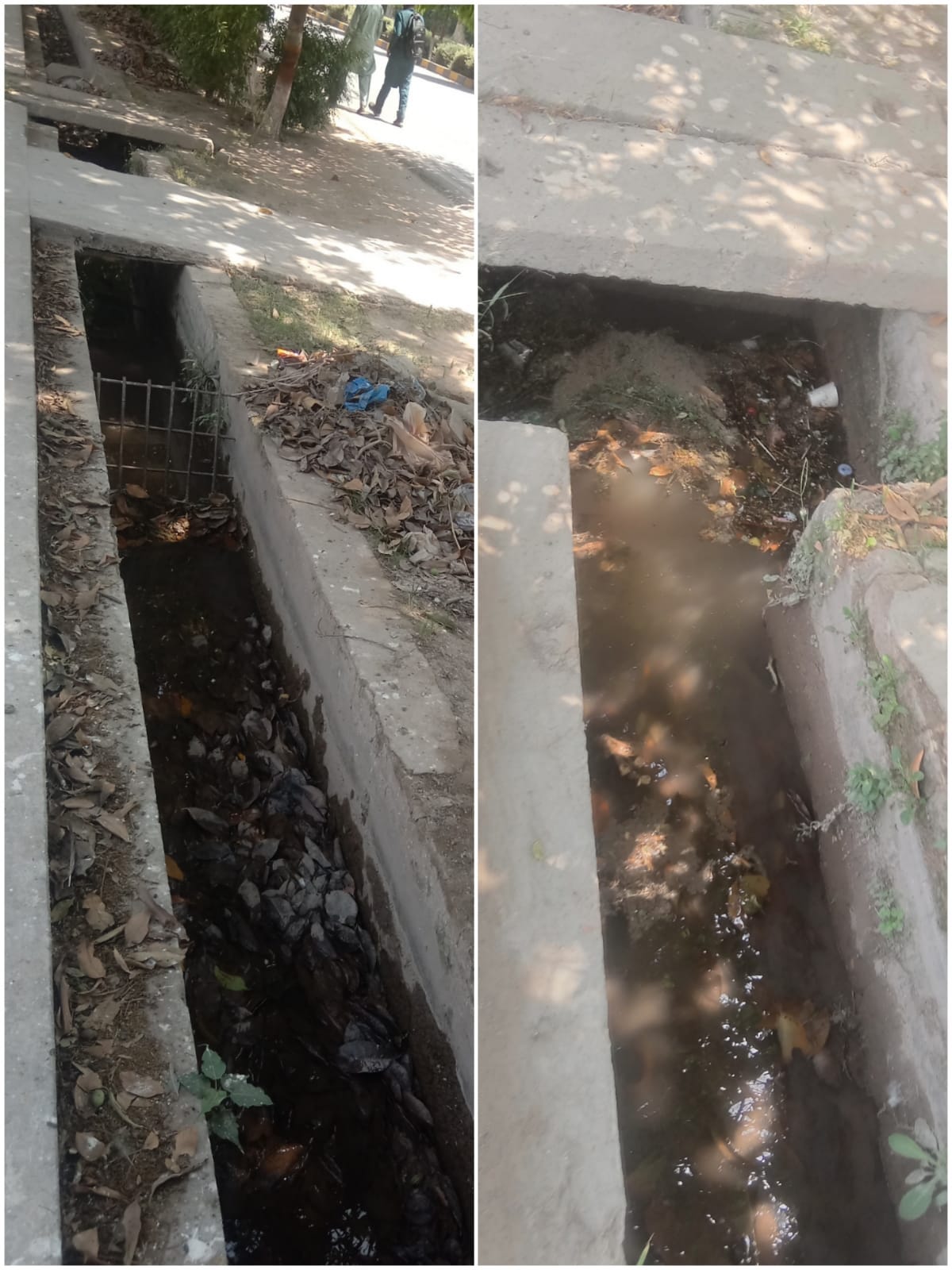 Sewage Overflow and Drainage Issues: | by Afshan | Apr, 2025 | Medium