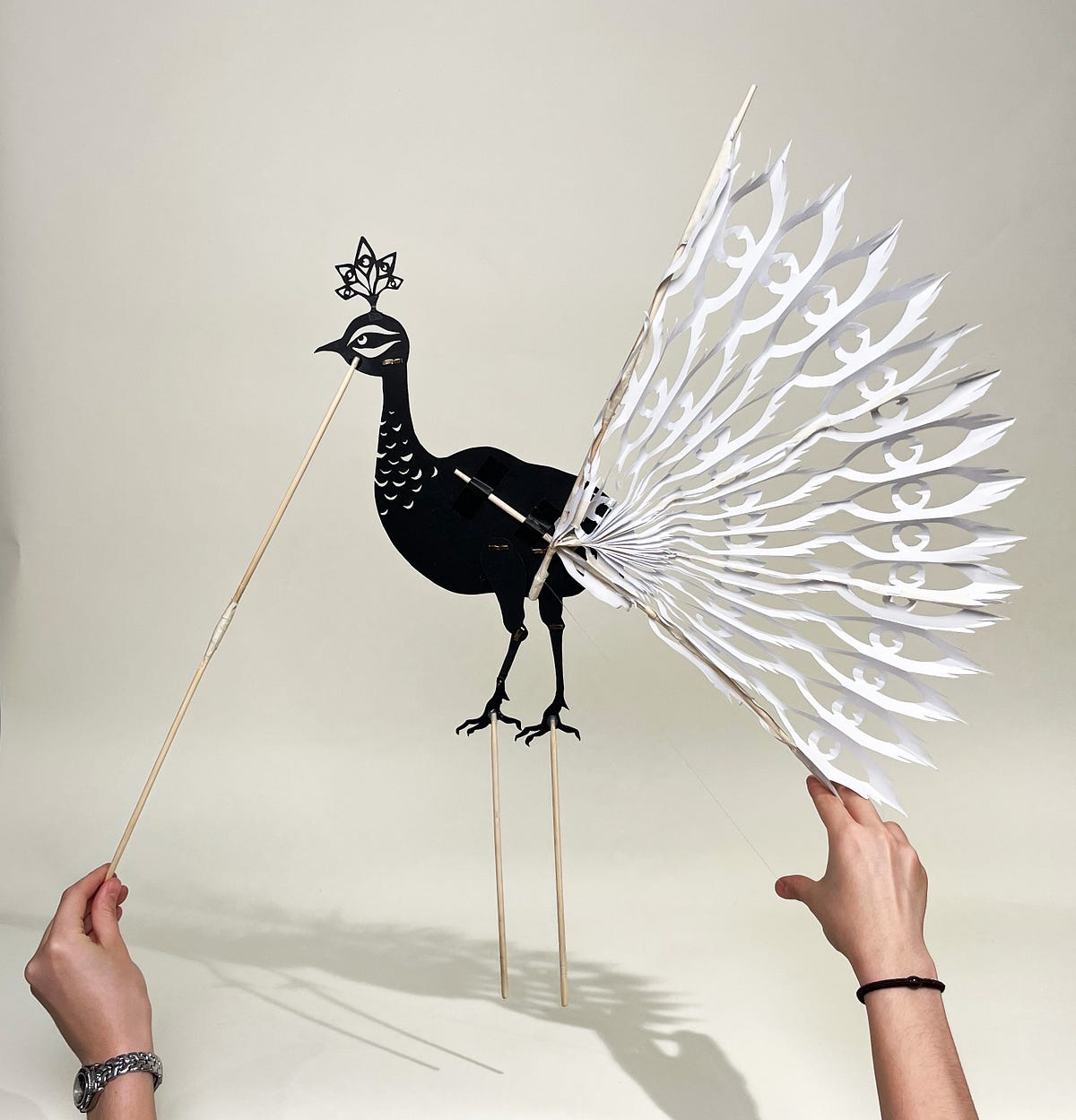 Project 3. Fables & Puppets. Our Fable: The Peacock and the Crane | by ...