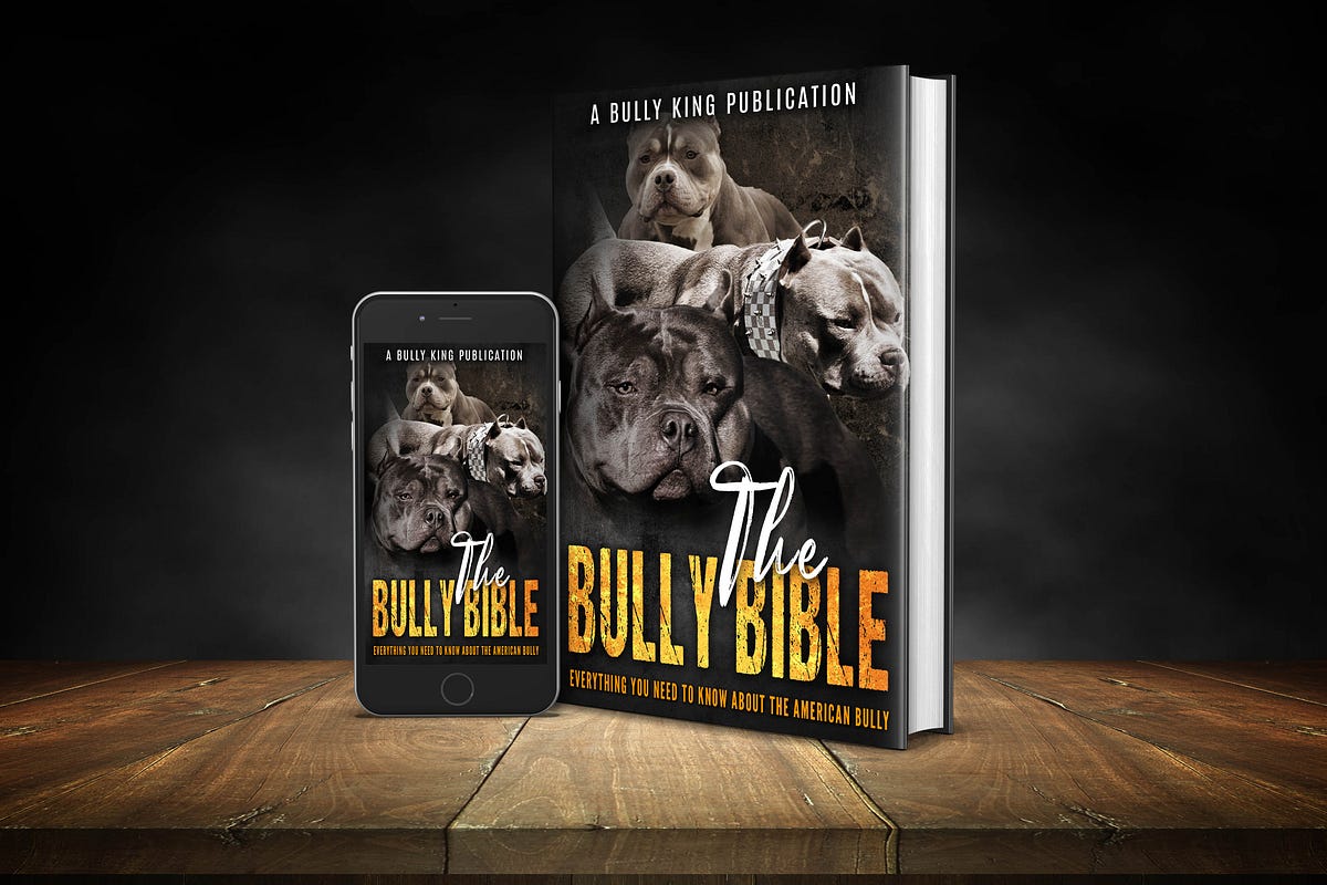 THE BULLY BIBLE: Everything You Need To Know About The American Bully ...