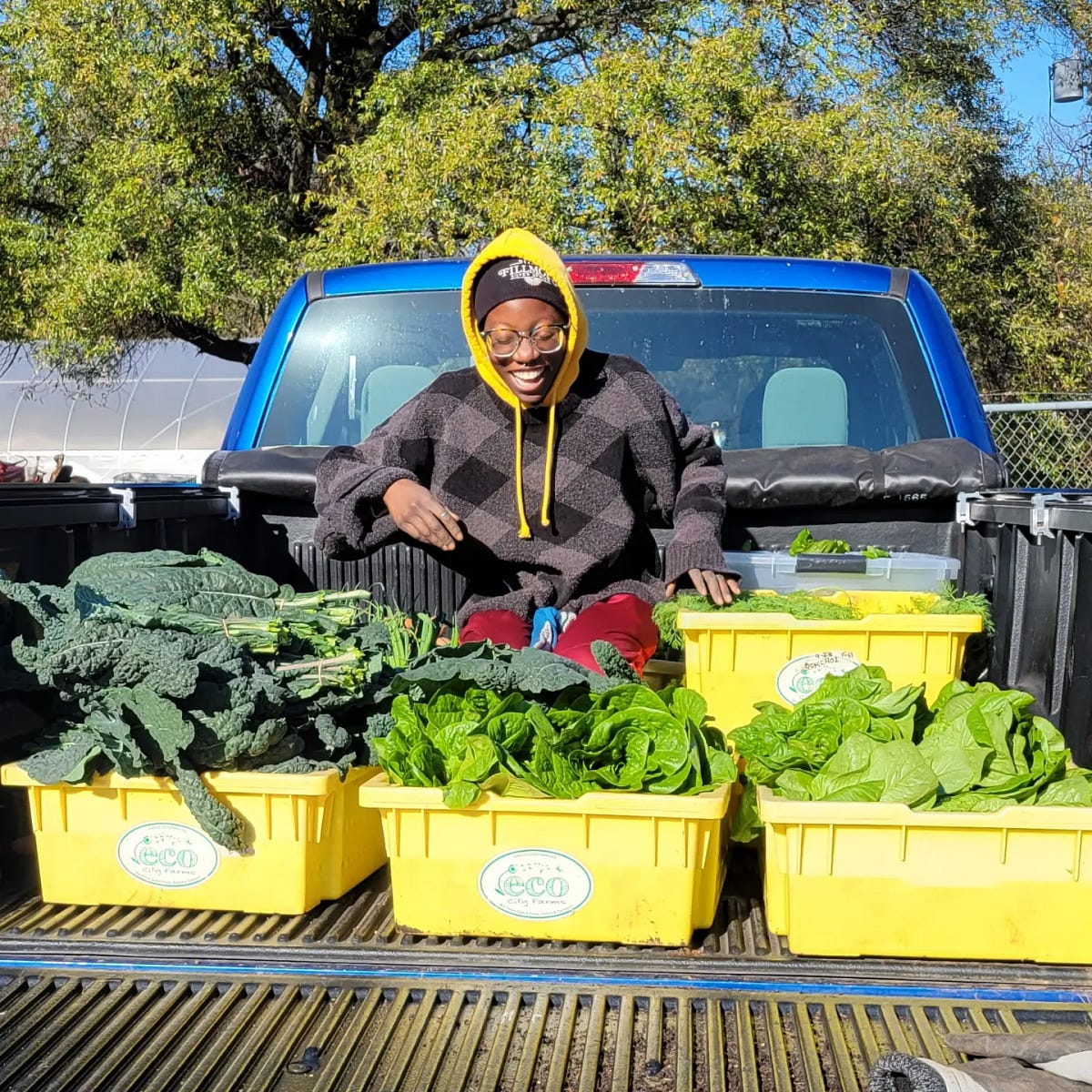Young, BIPOC Farmers Are Determined To Access Fresh Food, Land To ...