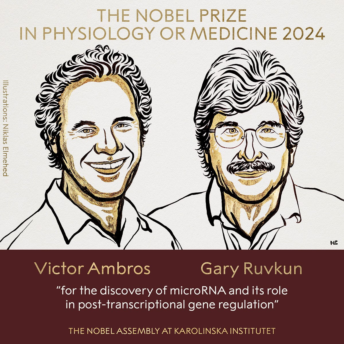 2024 Nobel Prize in Physiology or Medicine awarded for research on microRNAs | by Iker Puerto ...