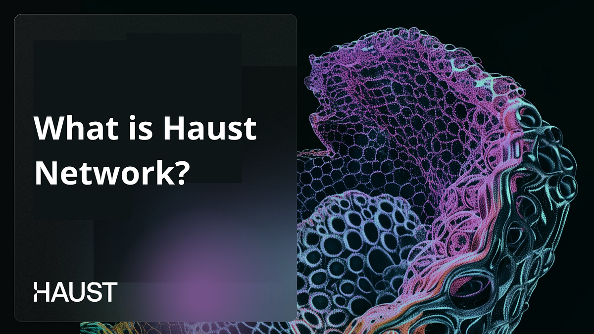What is Haust Network?. Haust Network is an innovative… | by Ebenezer ...