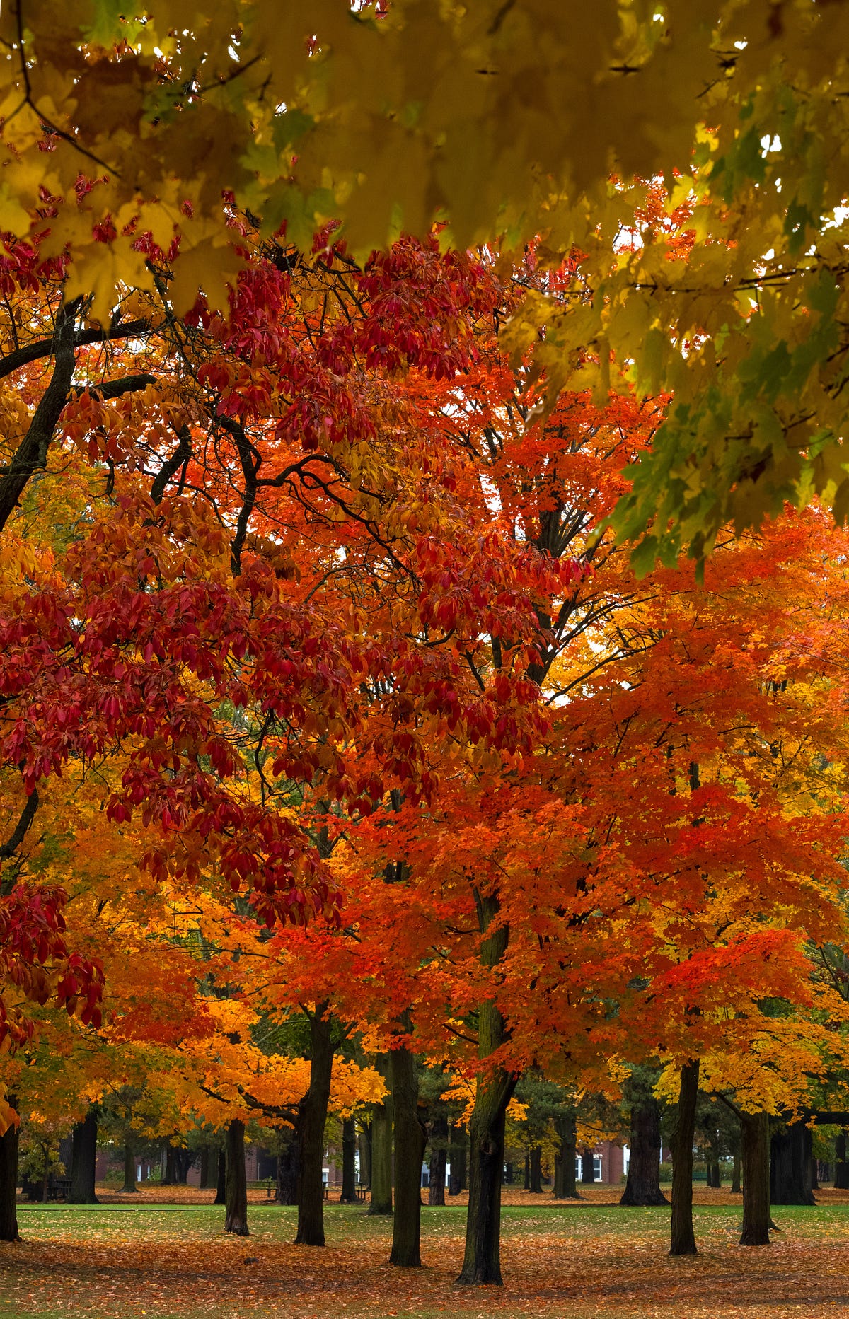 A Beautiful November, Thanks, Unexpected Rules, And Things Left Behind ...