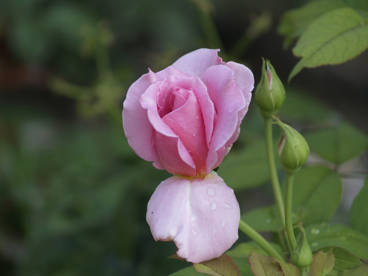 How to Recover Our Sense of Hope. Encouragement for When Our Sense of ...