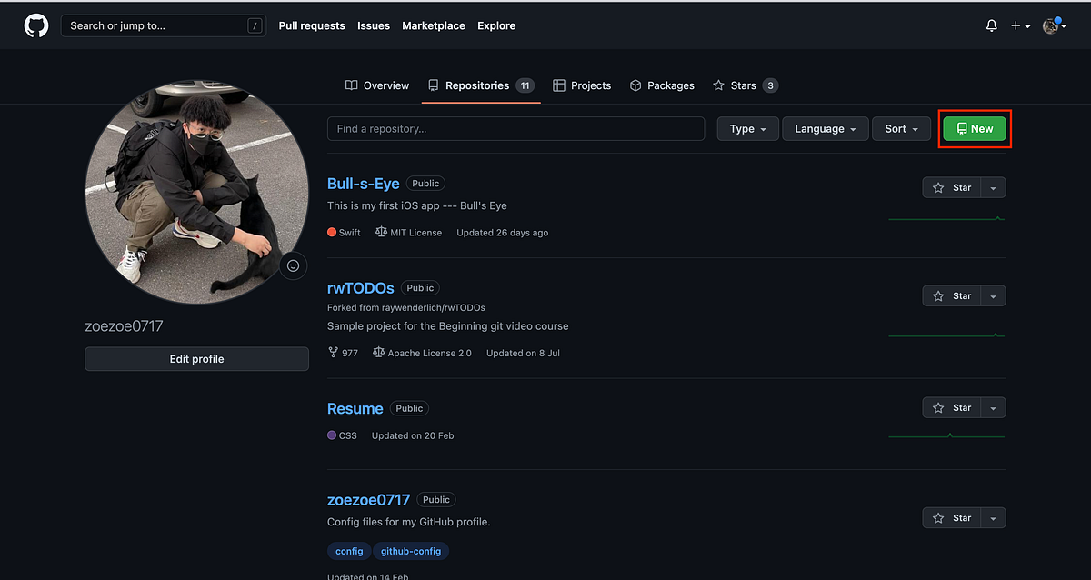 To establish a GitHub repo and how to upload the local projects to ...
