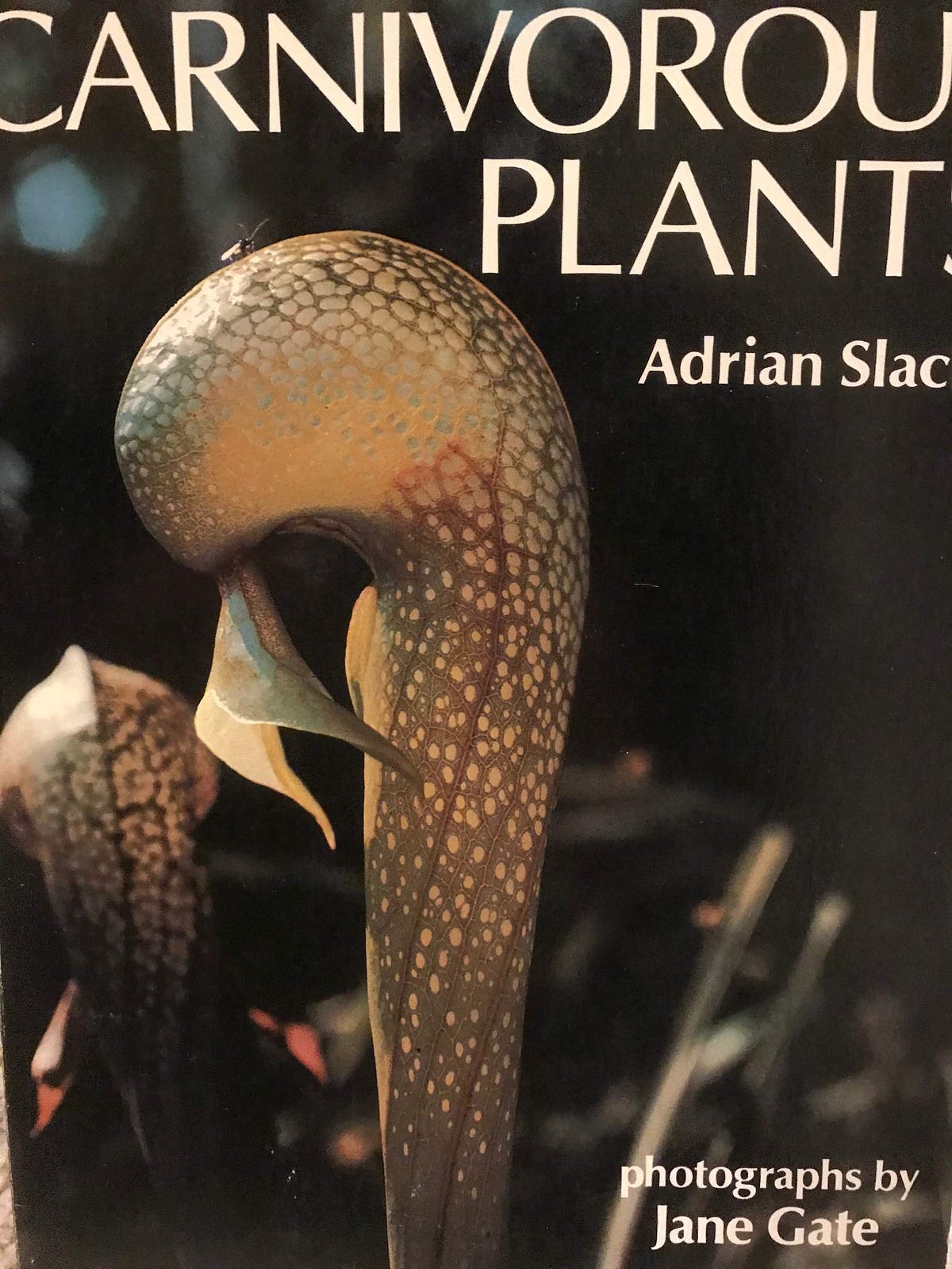 [BOOKS] Carnivorous Plants. Backed Reasons to Read a (Real) Book… | by ...