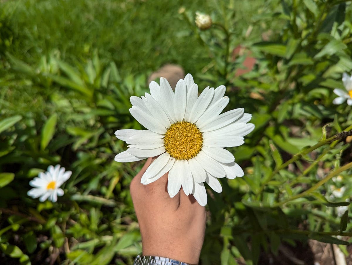 Keep knocking on doors. What new freelance creators need to… | by Sanchari Pait | Jan, 2025 | Medium