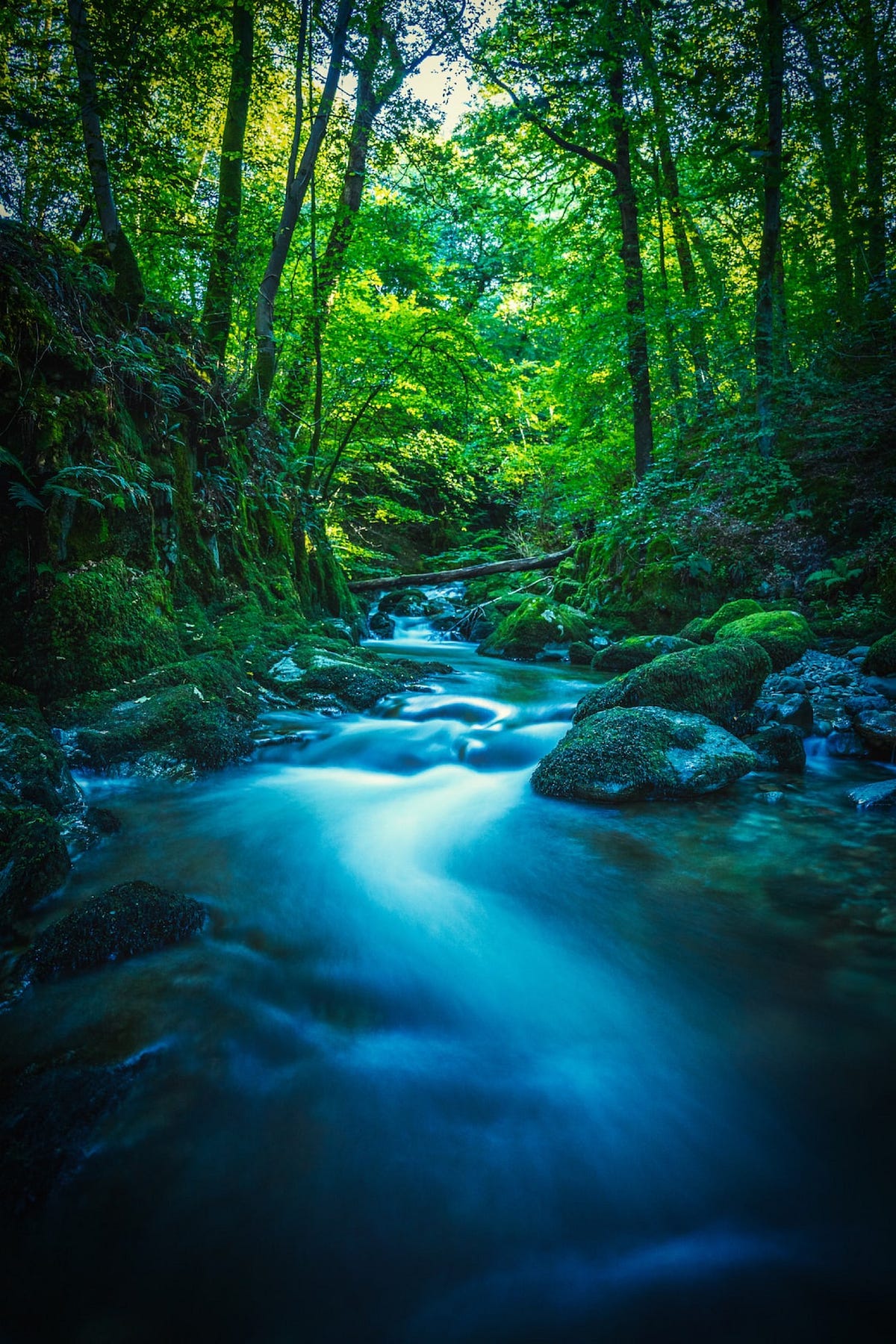 STREAMS Shivers and stimulus Tippers and tips The light fades out _____ Seducing illusions We ...