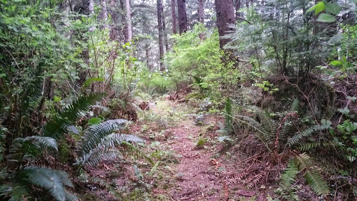 Rutted Track. Down there, to the side of the rutted… | by Seth Skiles ...