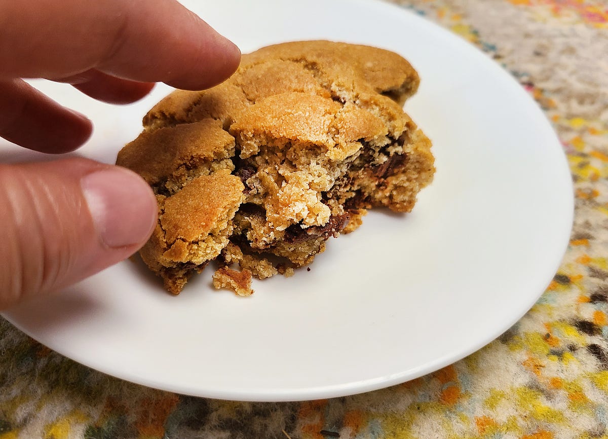 Manifesting a chocolate chip cookie some thoughts about reality and ...