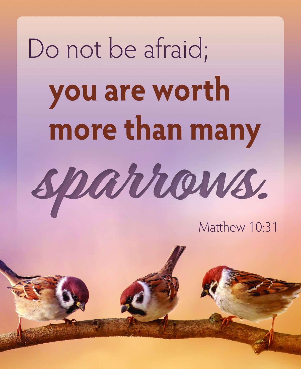 Empower Your Faith / 12th Sunday in Ordinary Time; Matthew 10:26 – 33 ...