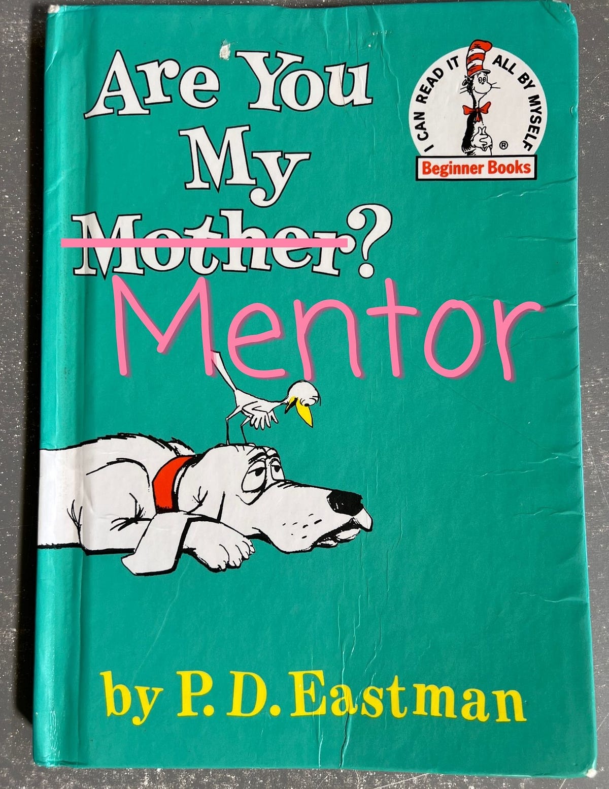 Are You My Mentor?. An abridged and re-told children’s… | by Mercedes O ...