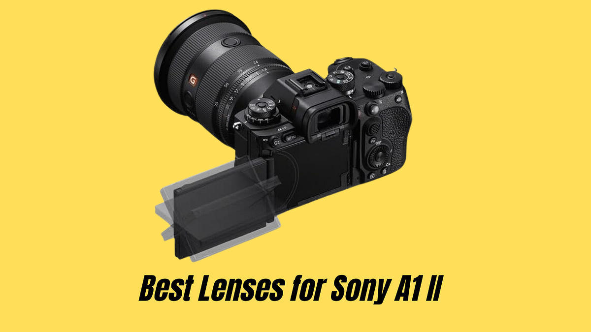 Best Lenses for Sony A1 II. Best Lenses for Sony a1 II: A Personal ...
